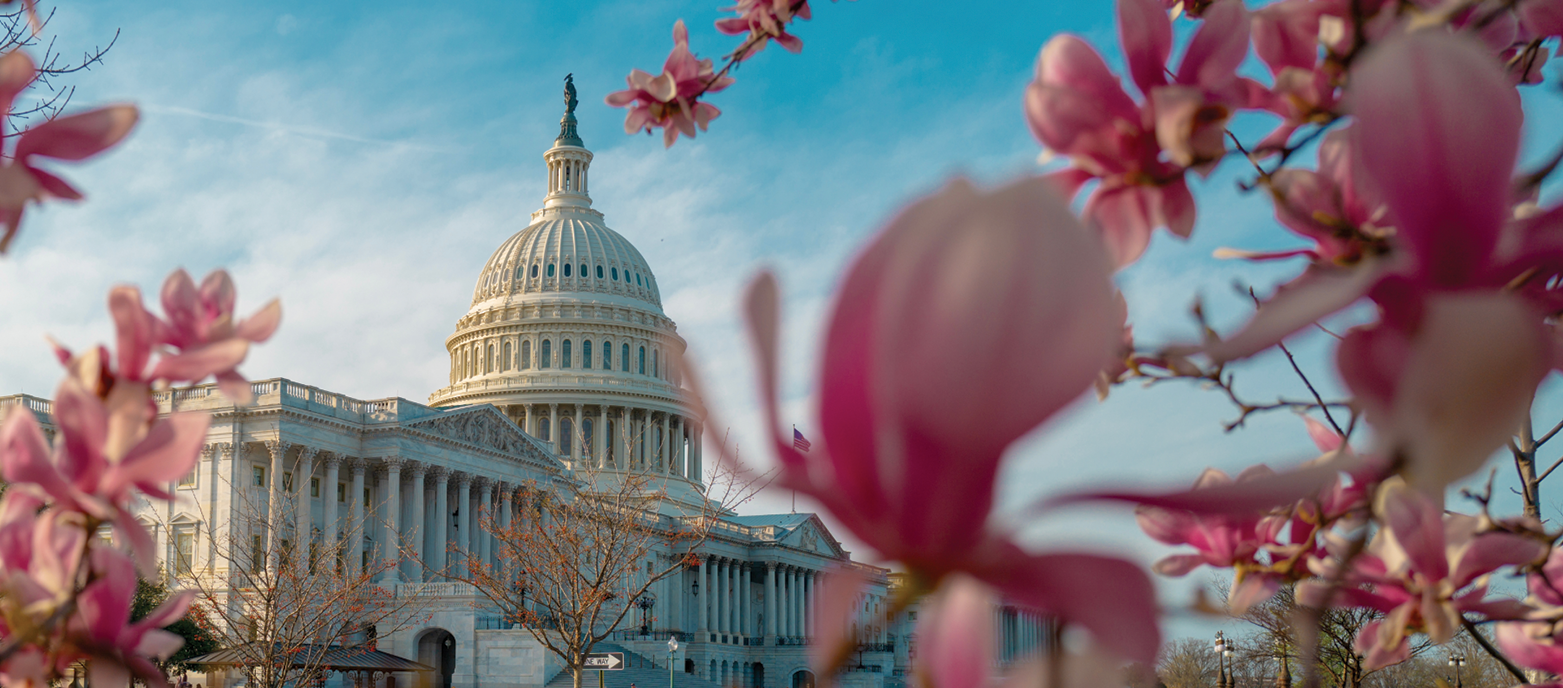 Fresh Faces: Introducing New U.S. Senators of the 119th Congress | NACS ...